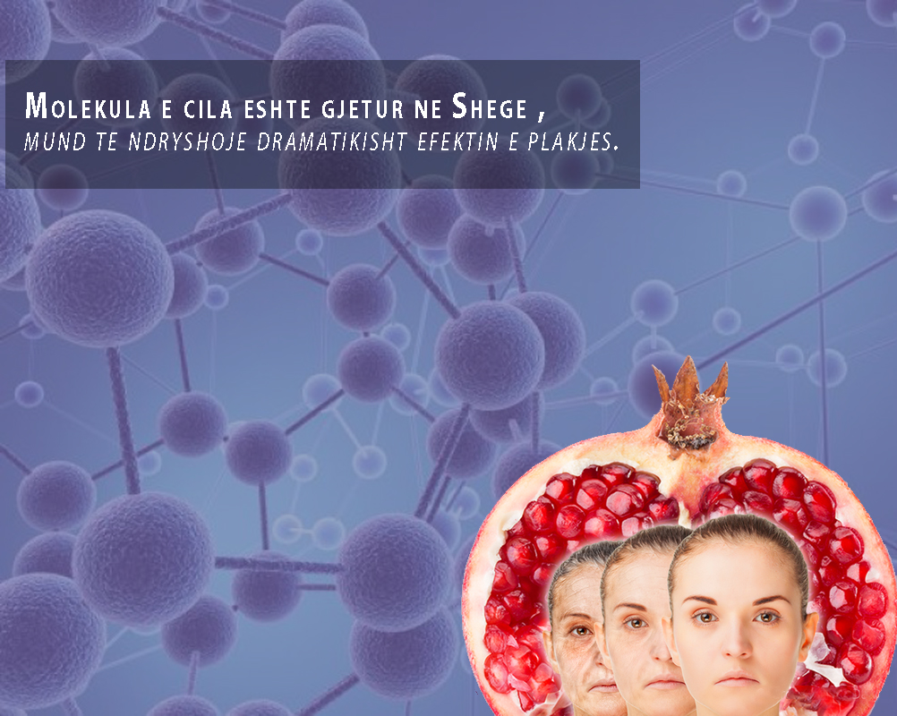 Shega konsiderohet si fruti kundra Plakjes - Blogu i njoftimeve