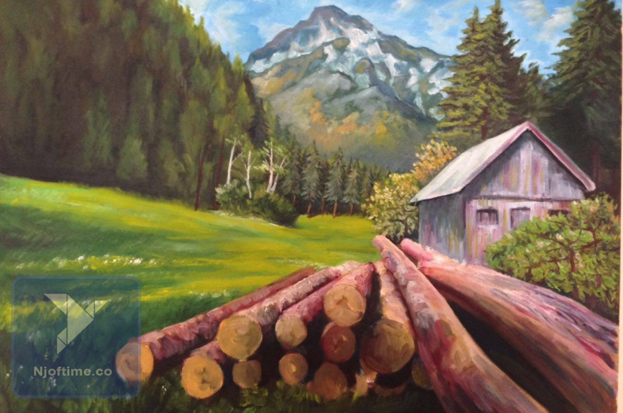 Peisazhe Te Ndryshme